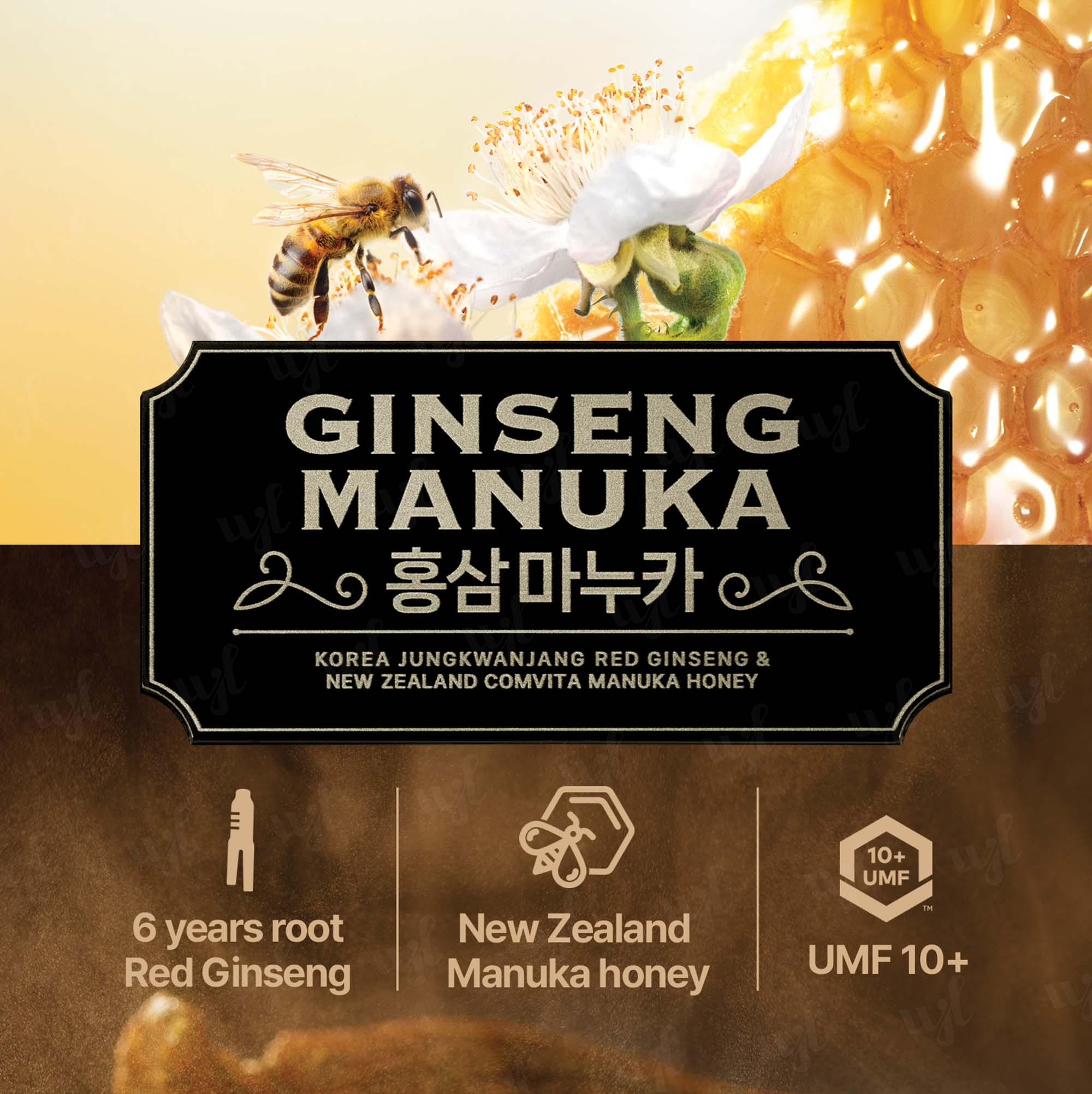 Jung Kwan Jang Ginseng Manuka – Wing Joo Loong
